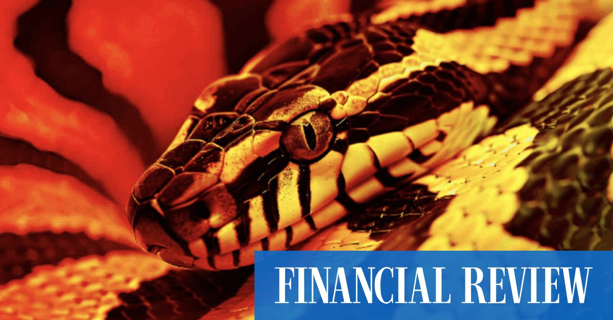 Artificial intelligence: Book ‘AI Snake Oil’ lifts the lid on the dangerous hype around AI