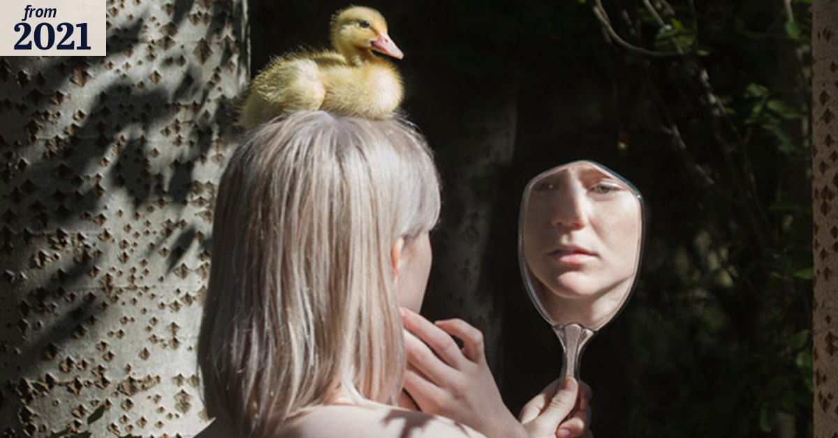 Fable exhibition creates a surreal, magical world with animals