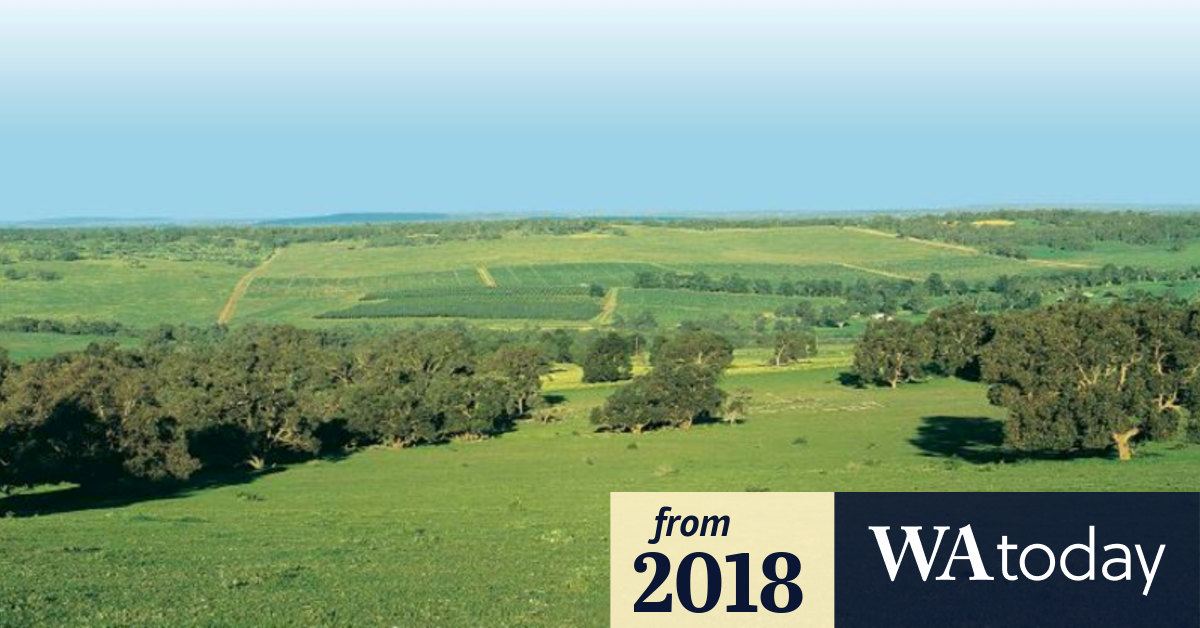 The new rural estate selling 300 massive blocks on Perth’s outskirts