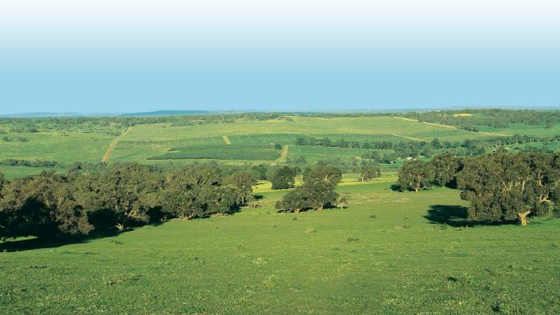 The new rural estate selling 300 massive blocks on Perth’s outskirts