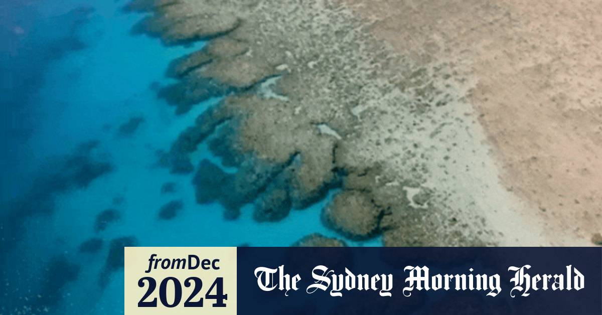 Scott Reef: Woodside’s gas ambitions with Browse to North West Shelf ...