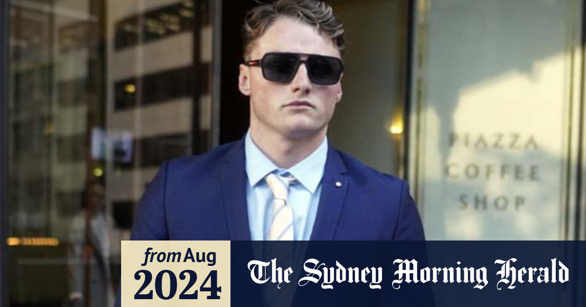 Joel Fitzpatrick Burtt: Alleged Star rapist admits to violence