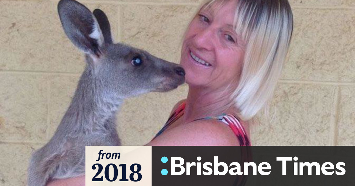 Wildlife carer suffers severe injuries following kangaroo attack