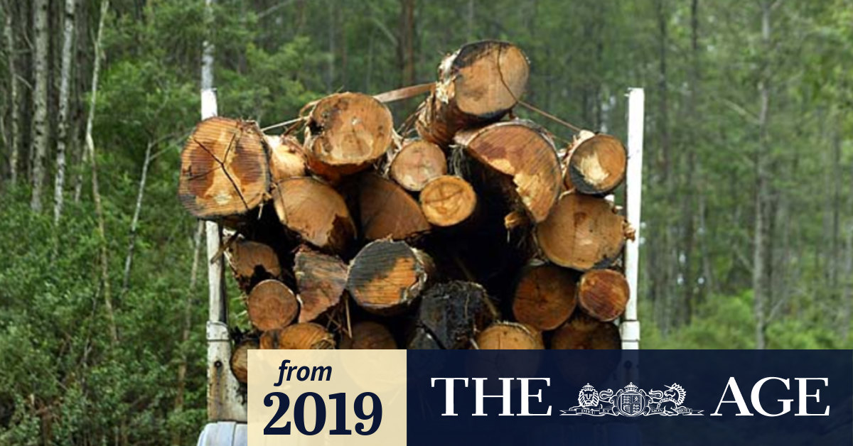 'Lives at risk': Liberals say logging ban poses mental health threat