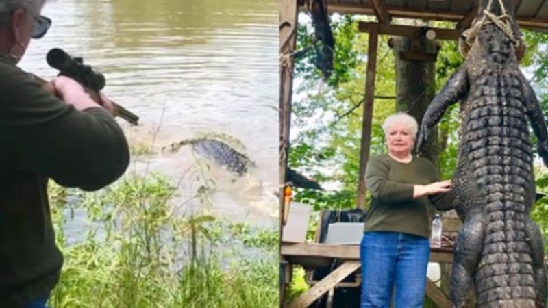 Texas mayor, 73, kills huge alligator she thinks ate her miniature horse