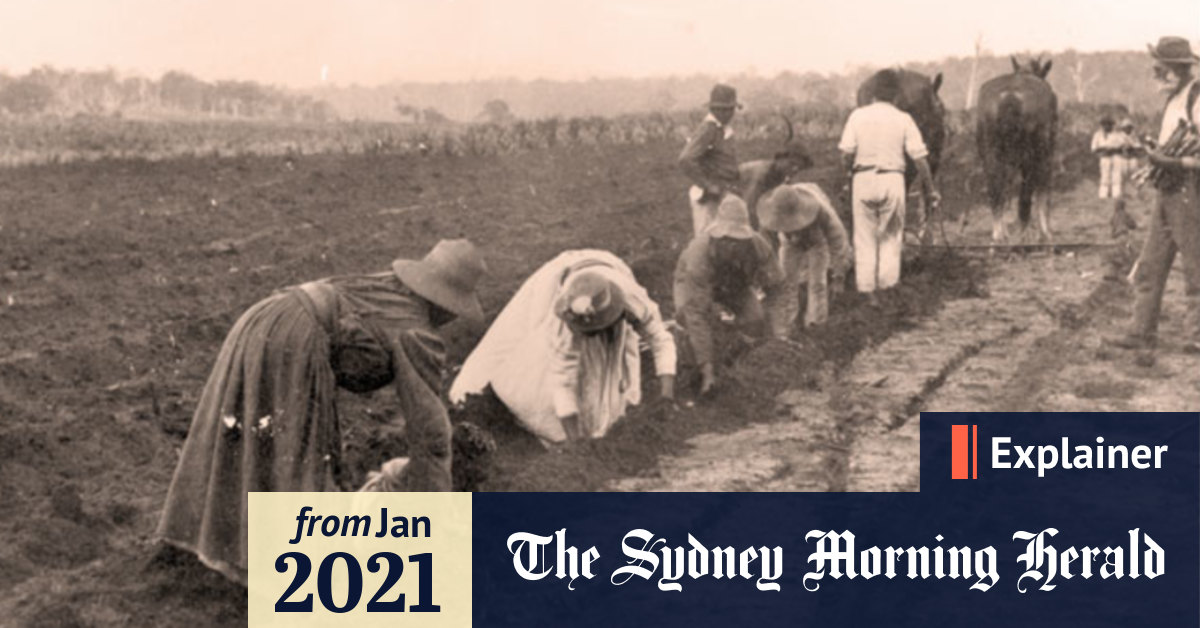 Slavery in Australia: What is blackbirding and how did racist policies ...