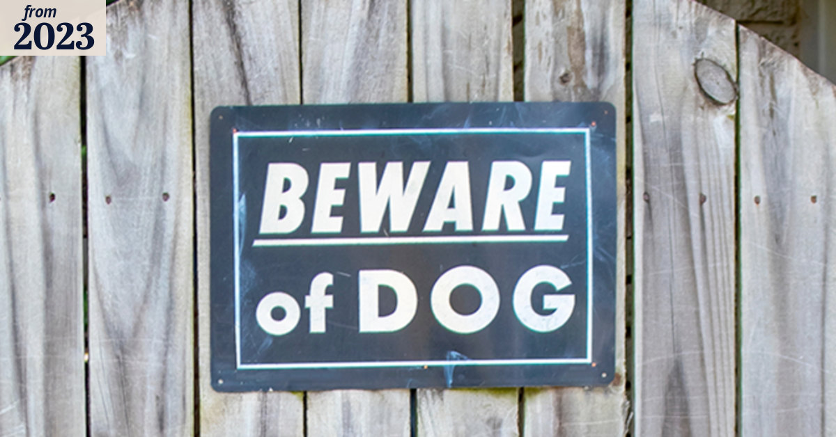 Qld owners of dangerous dogs to face jail, $100,000 fines over attacks