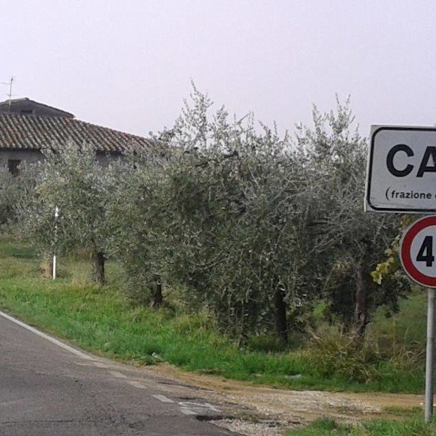 Incest cam telegram she is elegant plus highly desirable