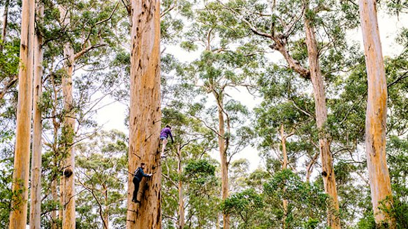 WA's most popular road trip routes revealed