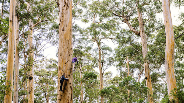 WA's most popular road trip routes revealed