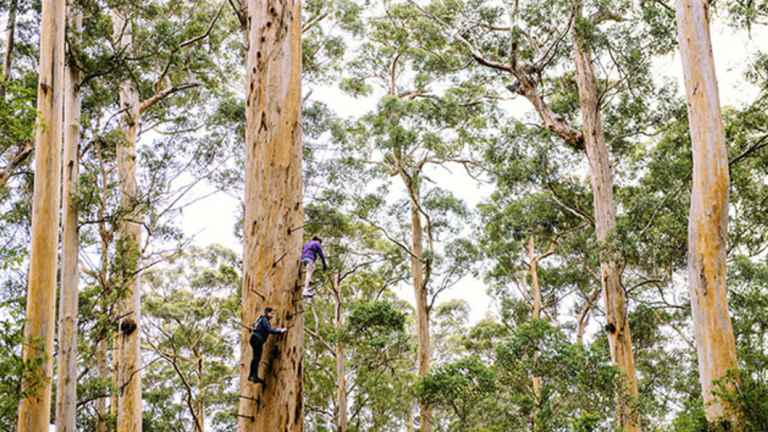 WA's most popular road trip routes revealed