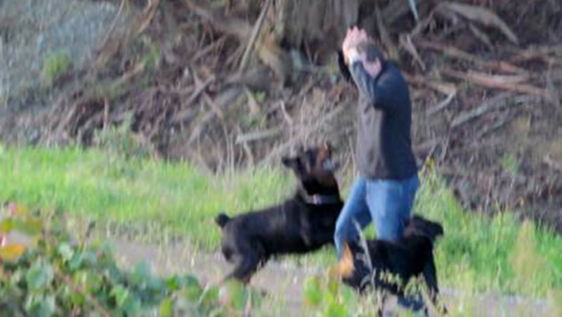 Mute dog-attack victim suffers 60 puncture wounds to face and head