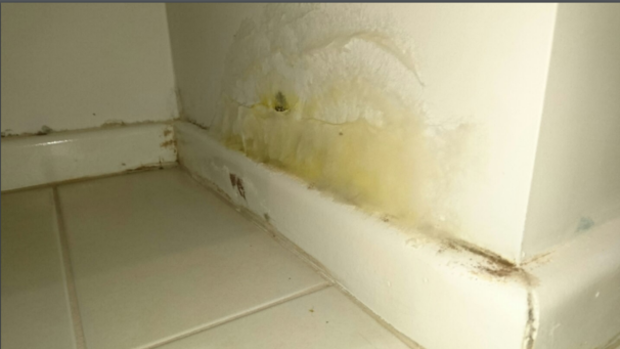 Plumbers fail drainage inspections at hundreds of new properties