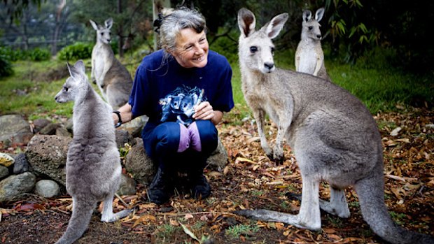 Victoria bushfires LIVE: Bonnie Doon and Strathbogie evacuated as ...