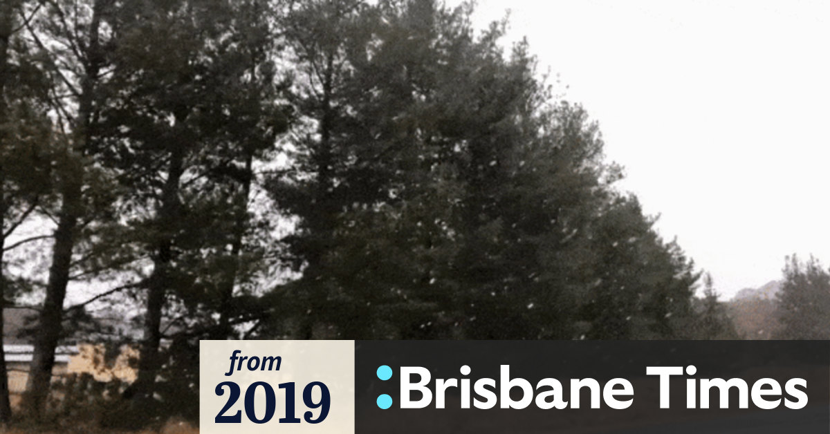 Snow falls in Queensland's south