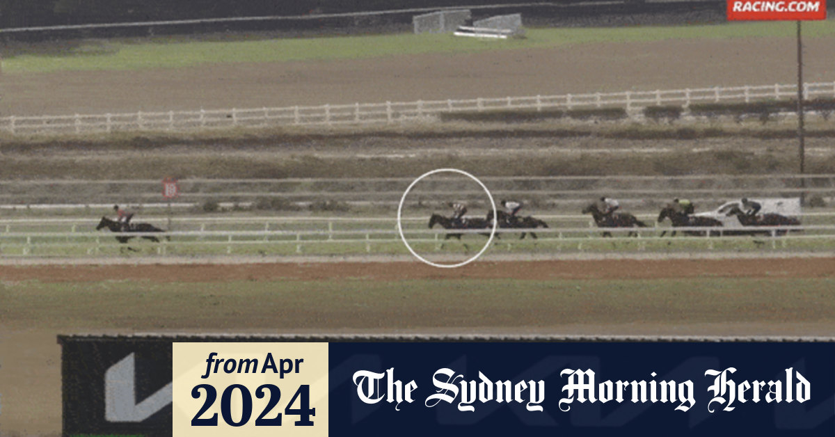 Racing 2024: What jumps racing hides from the public; Racing Victoria ...