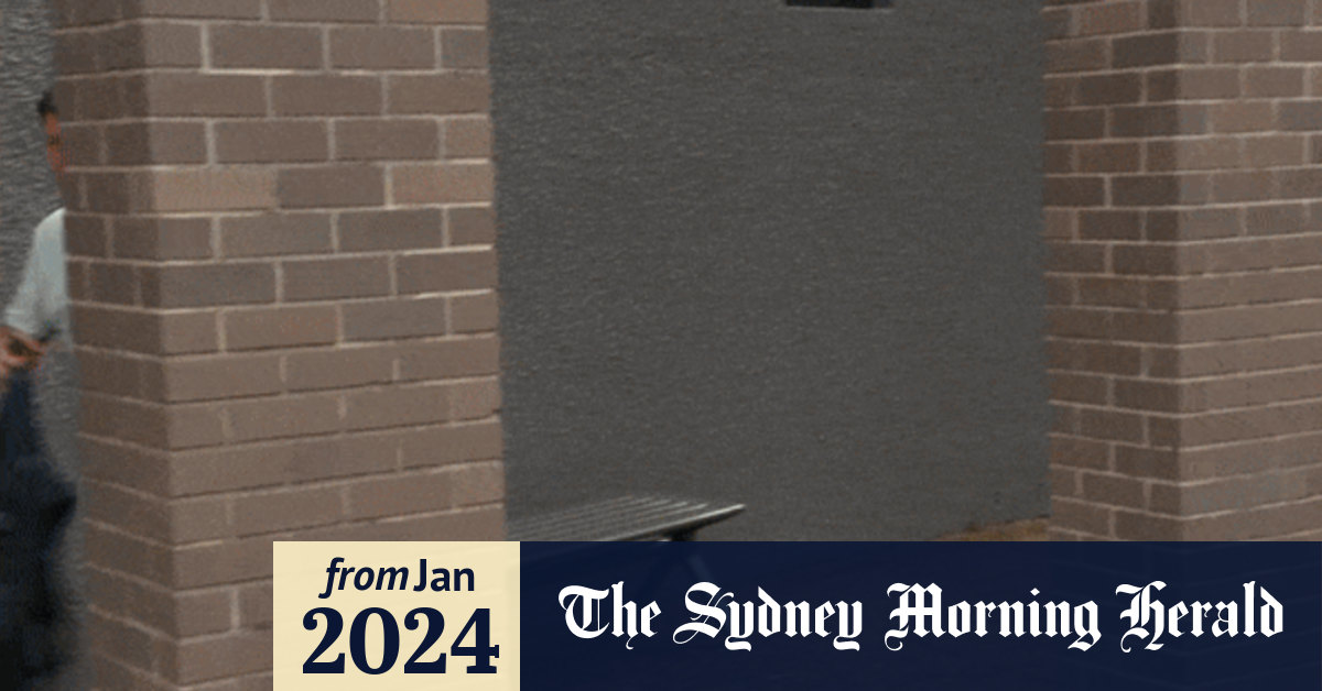 Scott Andrew Minigle accused of locking Jodie Lovell on balcony before ...