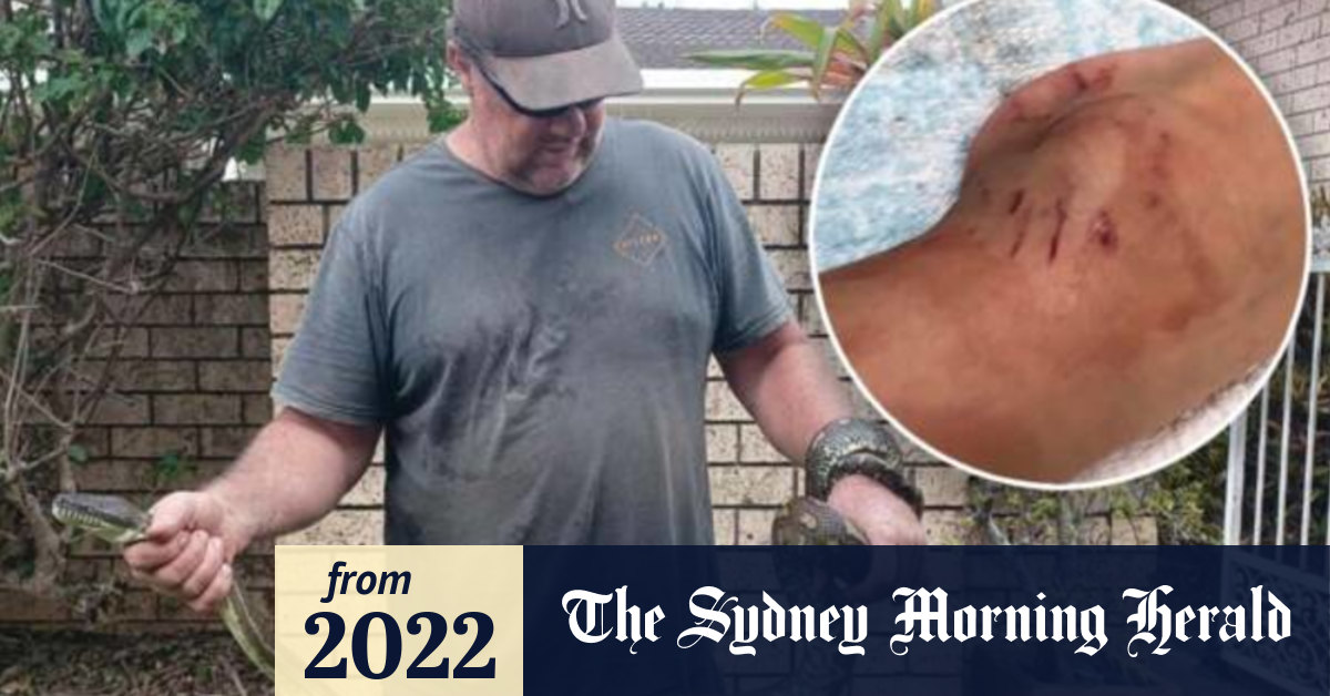 Byron Bay python attack: Five-year-old boy attacked by snake in ...