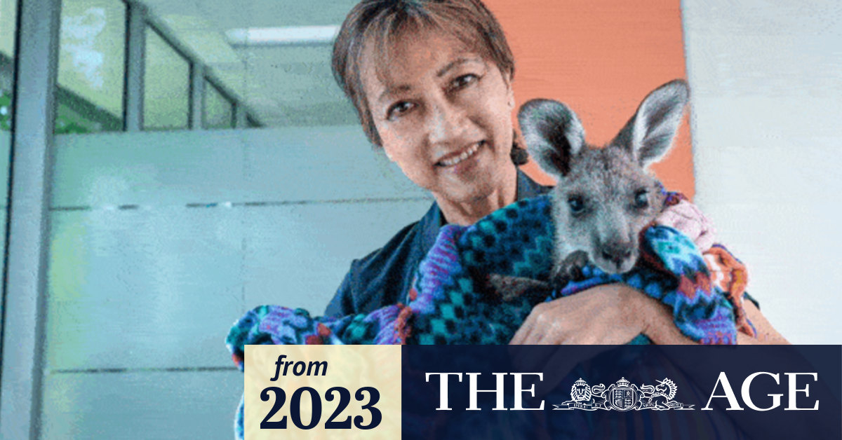 Australia Day Honours 2023: They do it for love: meet the local heroes ...