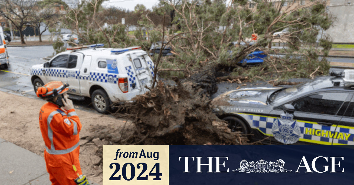 Melbourne weather: Man dies in Gellibrand after tree falls on car in ...