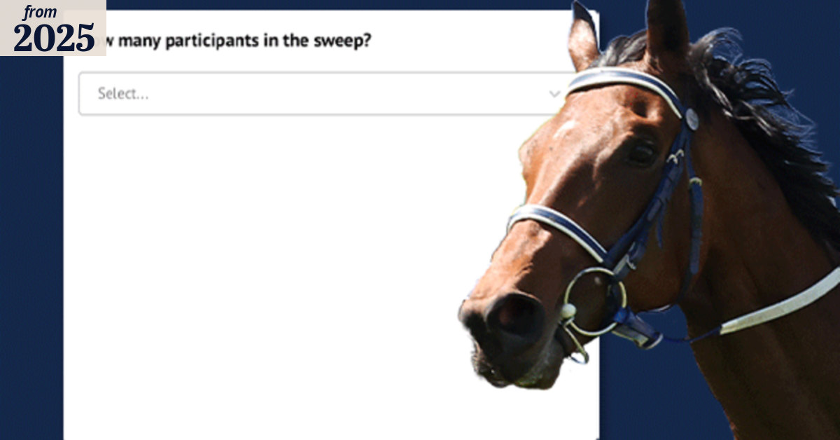 Melbourne Cup 2025: Sweep generator from The Age, online sweep generator