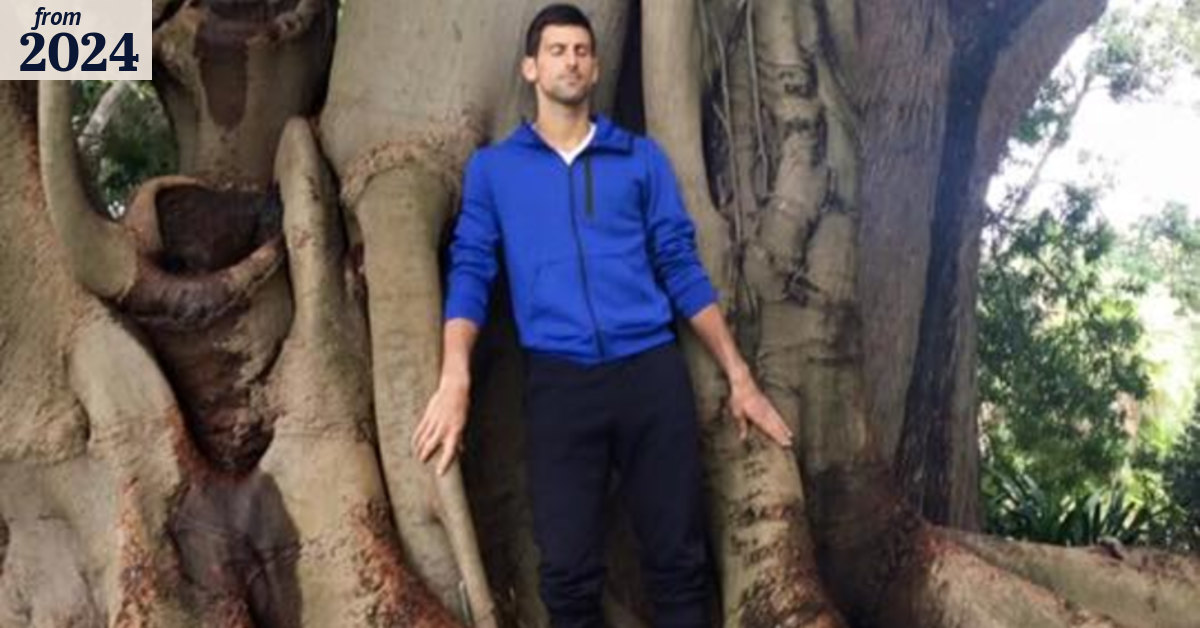 Australian Open 2024: Novak Djokovic meditates at tree in Royal Botanic ...