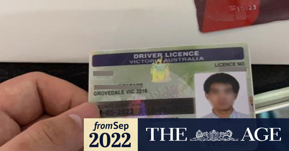 Optus breach: Victorians face ‘out of step’ driver’s licence policy ...