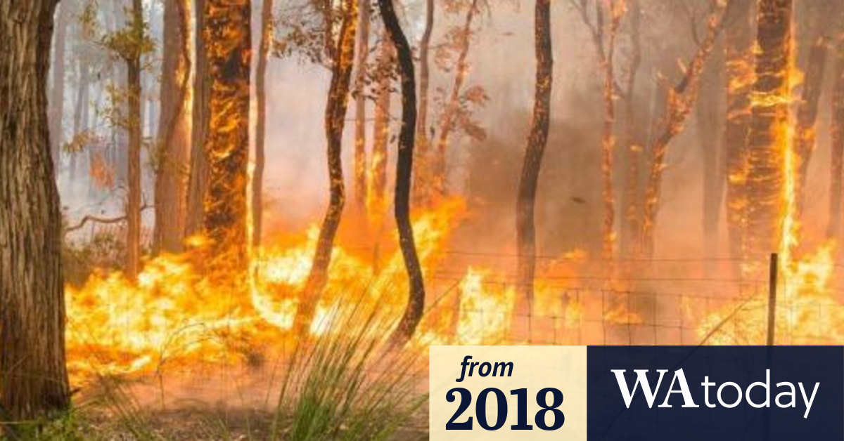 Police call for witnesses to 'suspicious' Aveley bushfire that burnt 25 ...