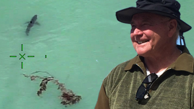 'Catastrophic': The Australian surfing legend wading into California's ...