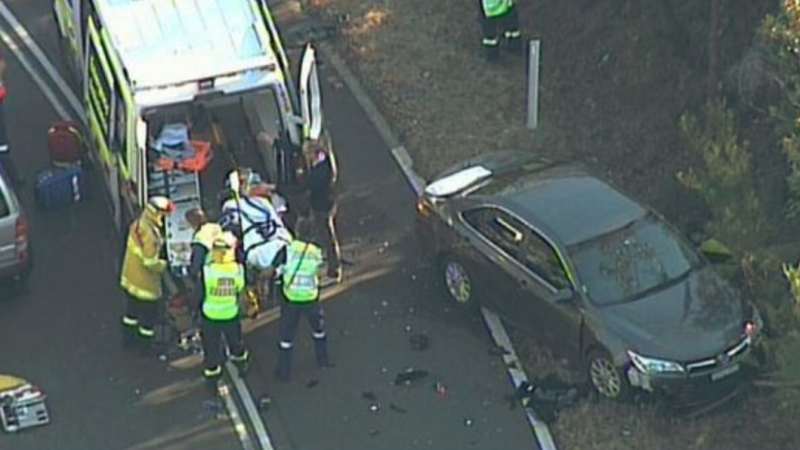 Royal National Park Accident: Five-vehicle collision leaves one man dead