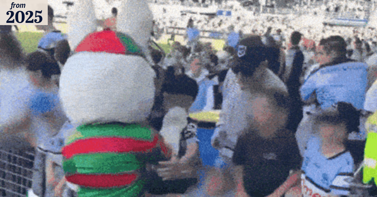 South Sydney mascot Reggie The Rabbit accused on punching child