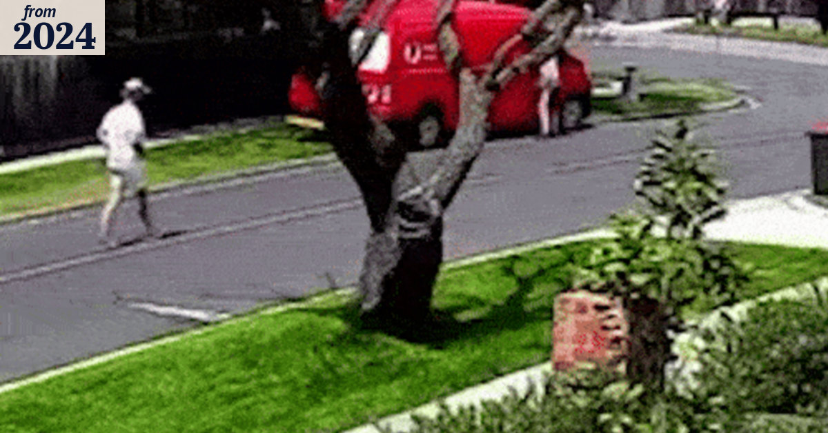 Going postal: Council ballot papers stolen in Australia Post van theft