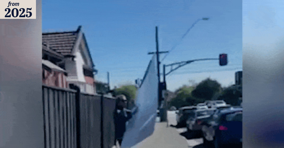 Election 2025: Monique Ryan’s husband filmed removing Liberal Party sign