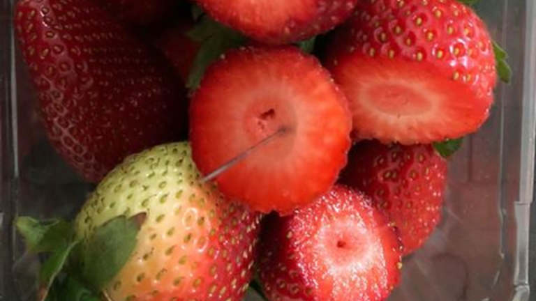 Spearwood student shocked at WA strawberry needle discovery