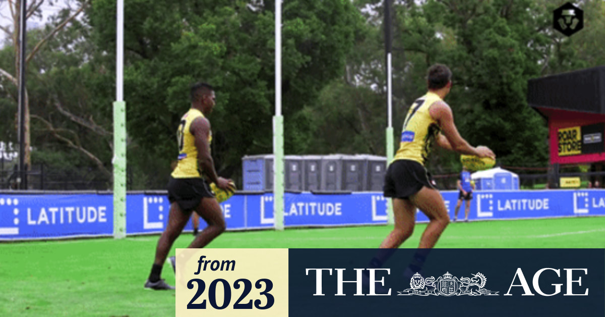 AFL 2023: Richmond Tigers duo Maurice Rioli jnr and Daniel Rioli on ...