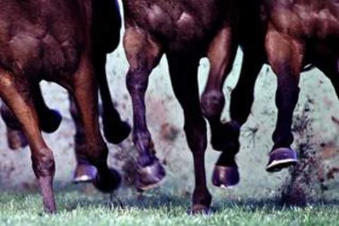 Walcha Cup races Friday tips and full preview