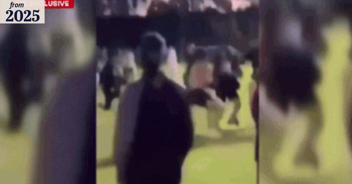 Wild OzTag brawl at Parry Park, Lakemba
