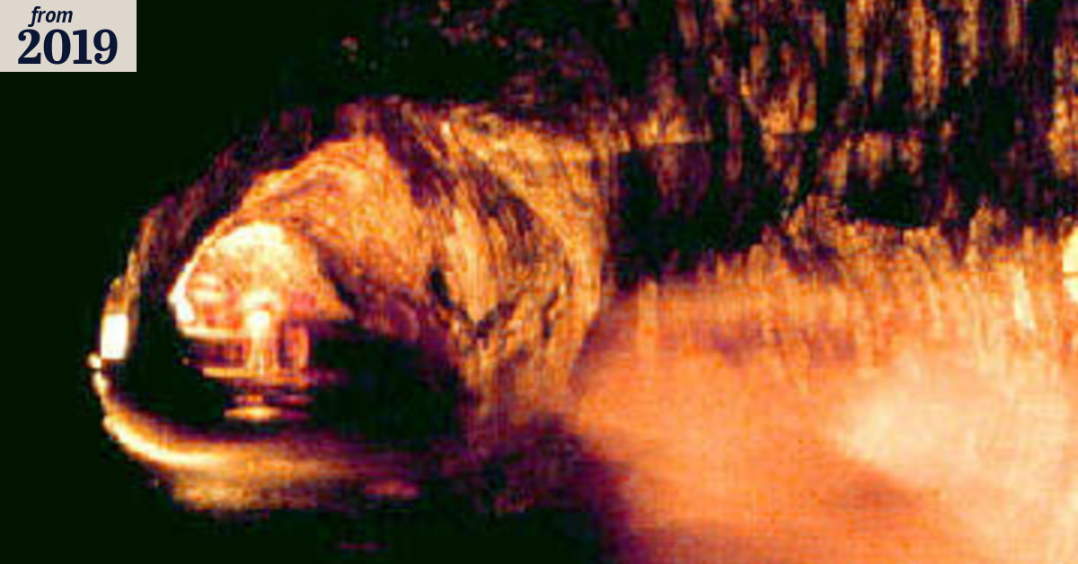 Hawaiian man dies after falling into a lava tube hidden in his backyard