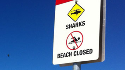 Town of Cambridge to install shark alarms at City Beach and Floreat ...
