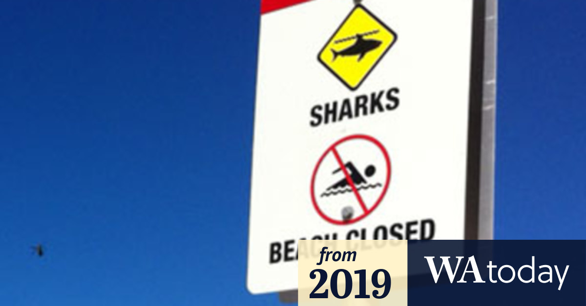 Town of Cambridge to install shark alarms at City Beach and Floreat ...