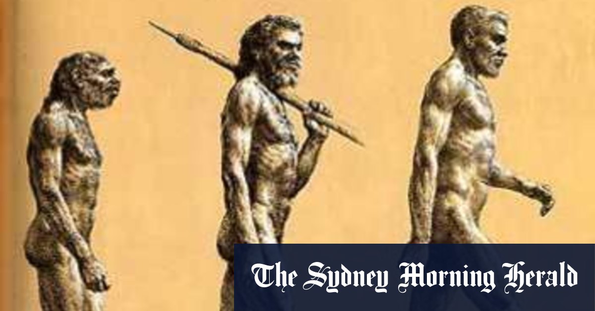 Nesher Ramla Homo: Scientists find a new early human in cement site in ... Nesher Ramla Homo: Scientists find a new early human in cement site in ...