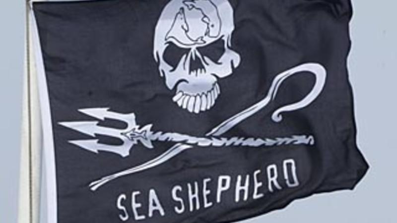 Sea Shepherd joins Queensland shark net debate