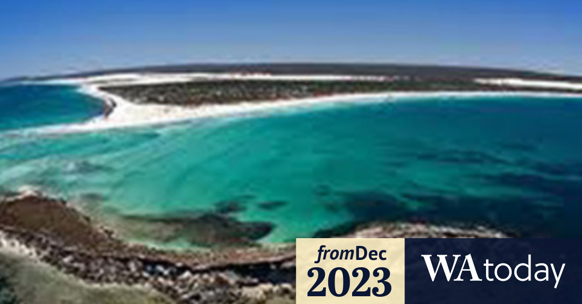 Wedge Island shark attack victim stable in hospital