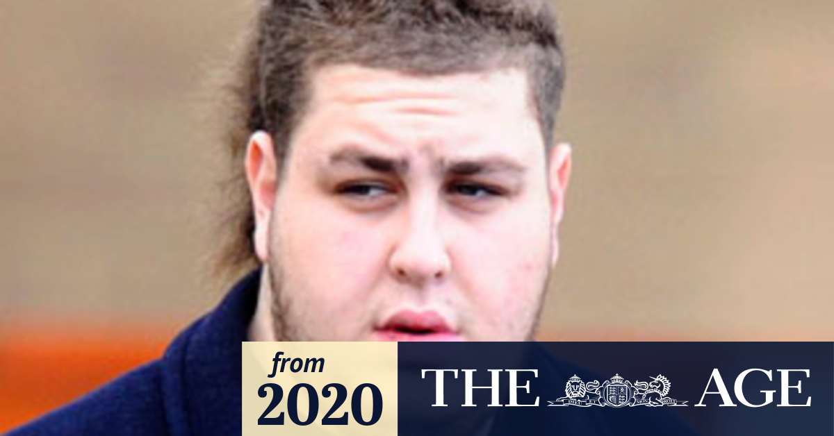 Chaouk family member charged with ramming police car and fleeing during ...