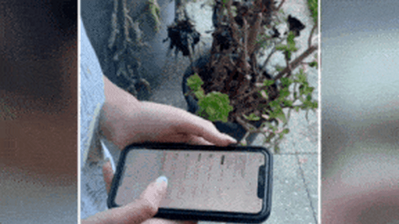 WA ATAR: How WA students reacted to their ATAR scores