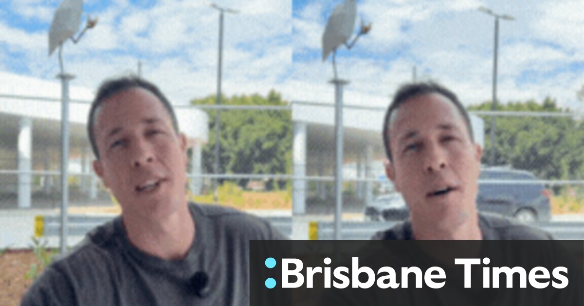 Brisbane bin chicken sculptures by Ryan Forster, aka Sethius Art, pop ...