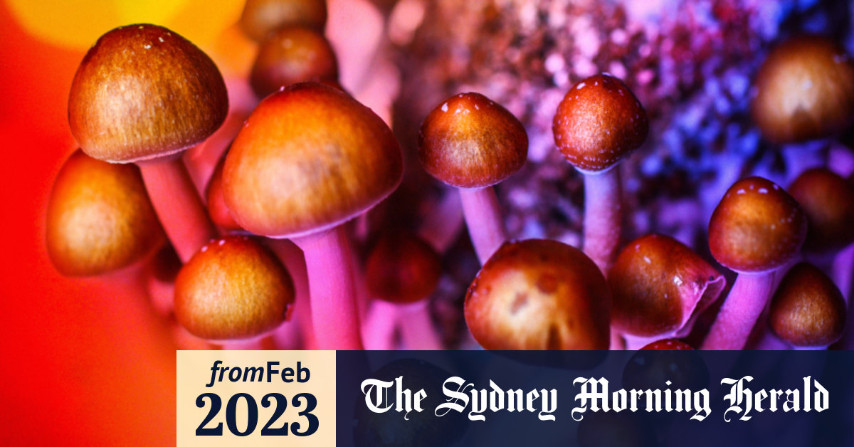 MDMA, psilocybin approved by TGA for psychiatric use in Australia