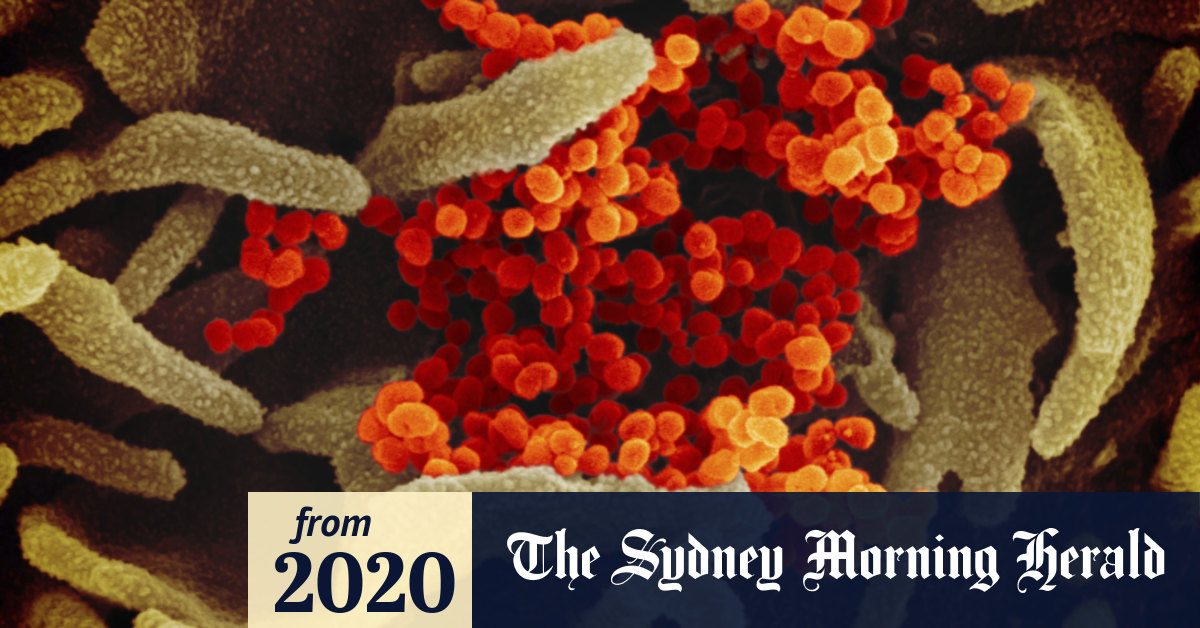 Coronavirus Australia: Melbourne scientists discover common anti ...