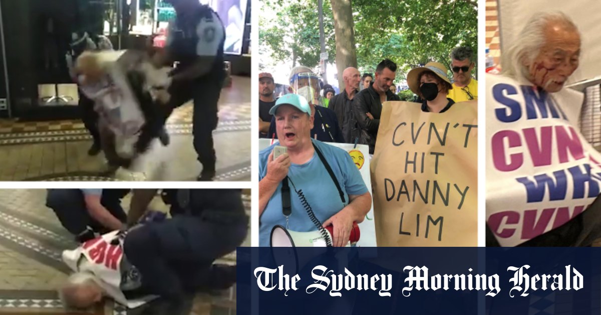 Danny Lim arrest: NSW Police excessive force ‘damaging Sydney’s ...