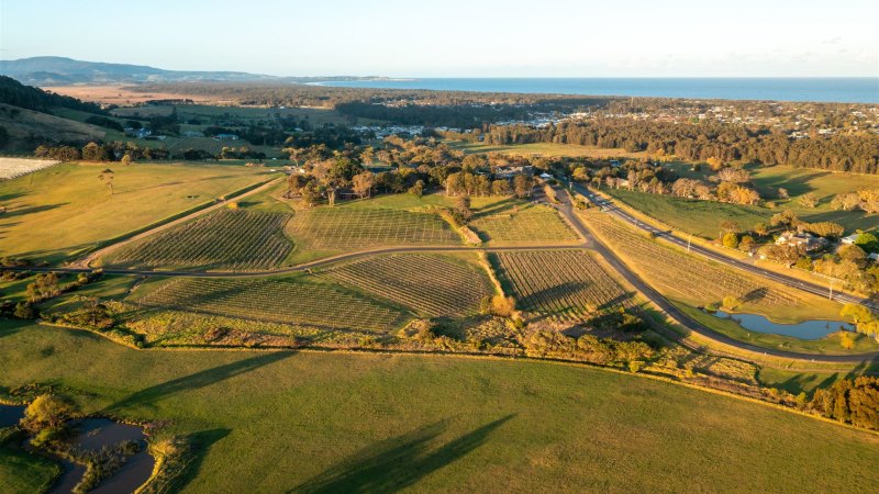 Berry estate may fetch $24m in second sale in 202 years